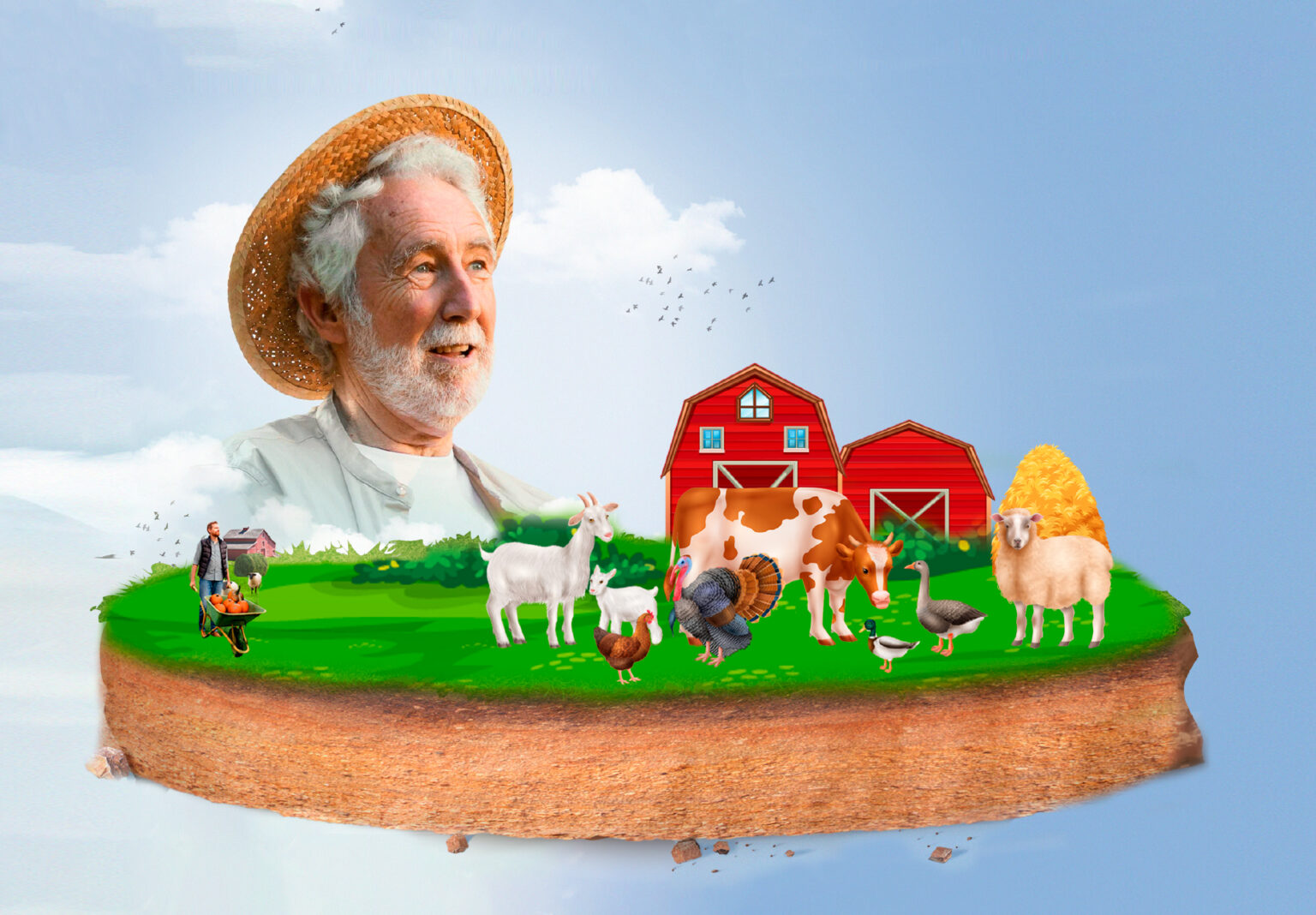 Near East University Animal Hospital Launches SDG-Aligned Campaign for ...