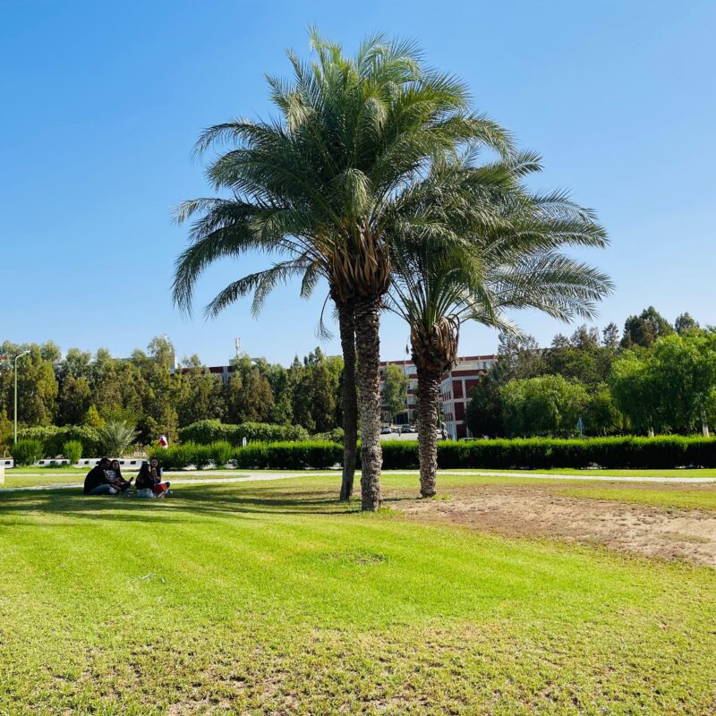 Green Areas – Near East University