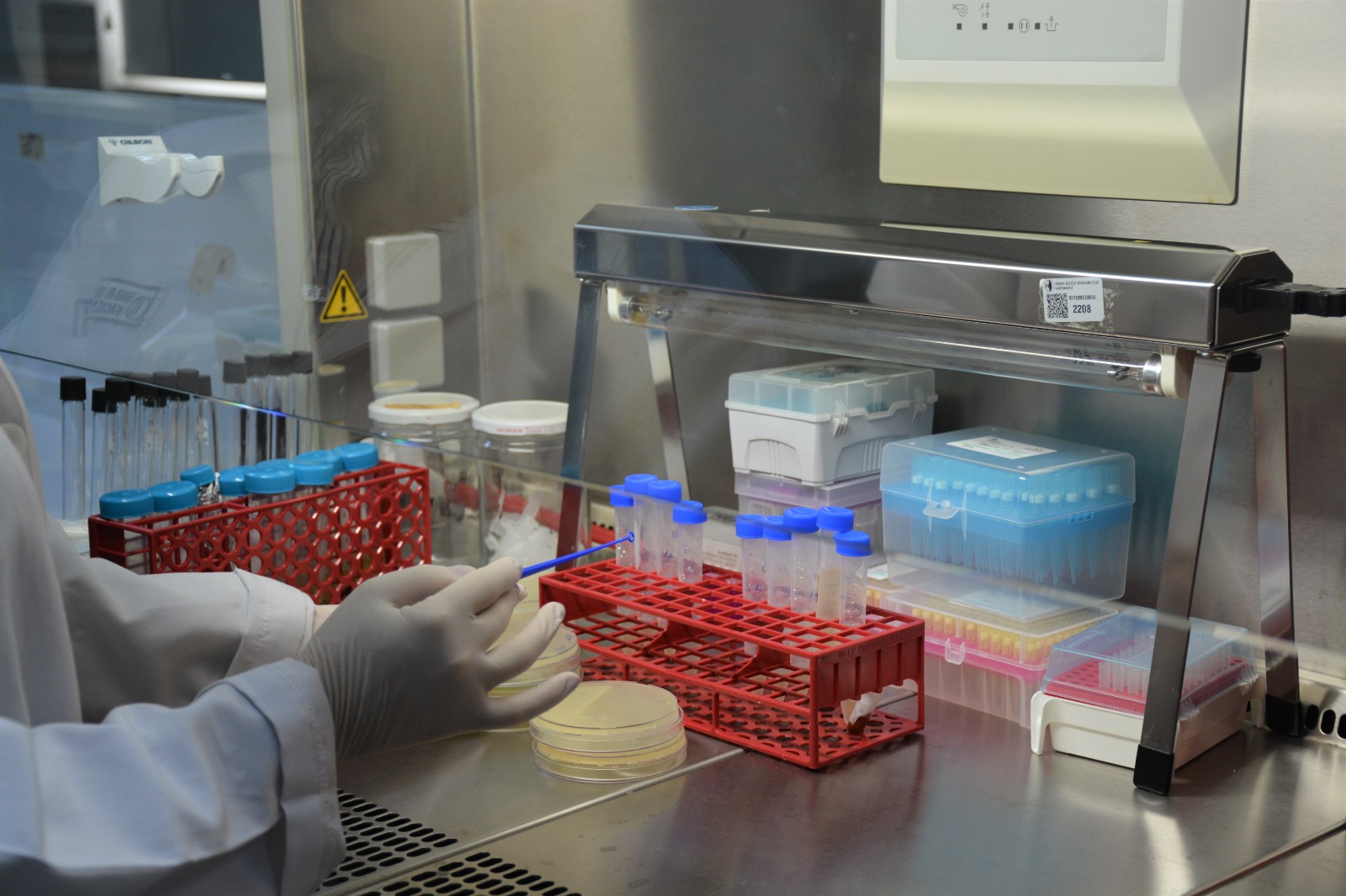 Near East University and La Trobe University’s Bacteriophage Project ...